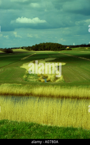 Landscape behind the dike Stock Photo - Alamy