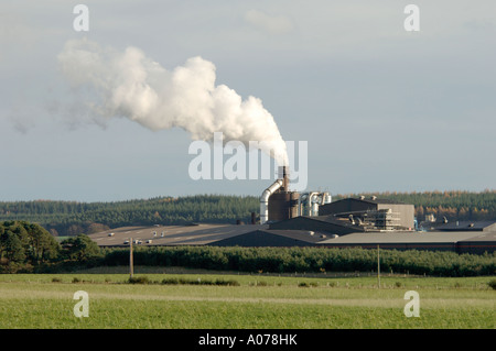 Norbord Timber Processing Plant Inverness Stock Photo - Alamy