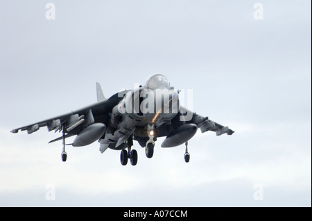 Harrier Jump Jet vector thrust Stock Photo: 49169850 - Alamy