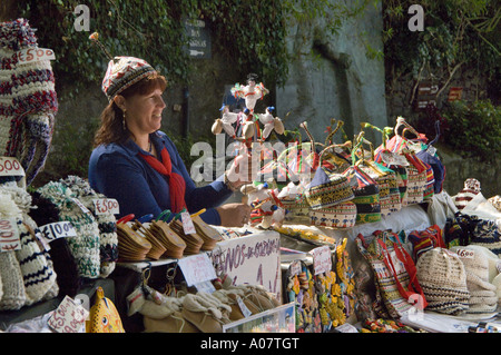 The traditional musical instrument of Madeira island folklore ...