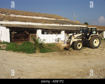 Small dairy farm building where ricotta cheese is made Sicily Italy ...