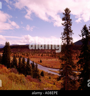 Cassiar Mountains and Boreal Coniferous Forest in Autumn in ...