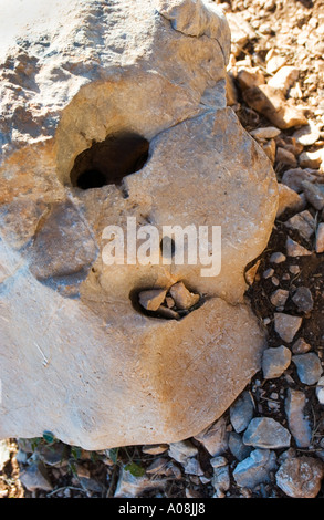 stone looks like skull Stock Photo - Alamy