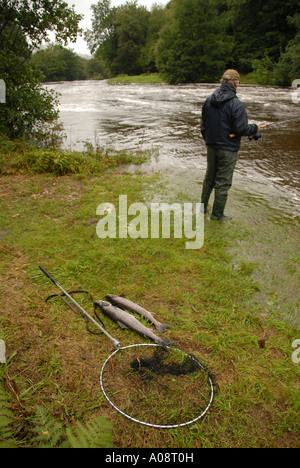 Salmon Fishing in River Conwy Llanrwst Snowdonia North West Wales Stock ...