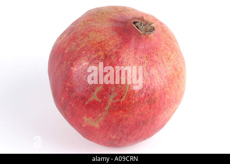 pomegranate, anar (Punica granatum), distribution: Persia, fruit cutted ...