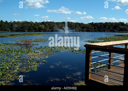 The City of Inverness Florida USA The Cooter Pond Park boardwalk Stock ...