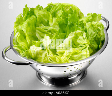 Fresh green salad lettuce on a field Stock Photo - Alamy