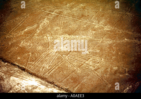 Nasca Lines Snake Headed Bird Symbol Peru Stock Photo - Alamy