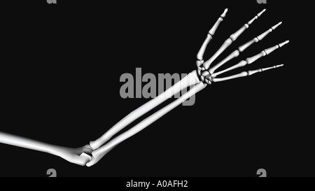 Illustrative diagram showing skeleton arm and hand outstretched Stock ...