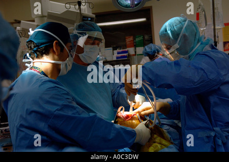 Total right knee replacement operation using a gender specific ...