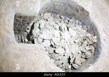 Inscribed Oracle Bone From the Shang Dynasty in Yinxu, anyang city ...