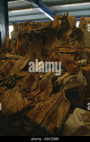 Dried fish in the fish market Dubai Stock Photo - Alamy
