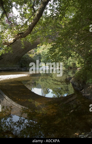 Trees overhanging a still river in the afternoon, Oxford, UK Stock ...