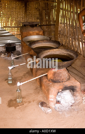 Distilling toddy, wine made from palm tree sap in the Mandalay region ...