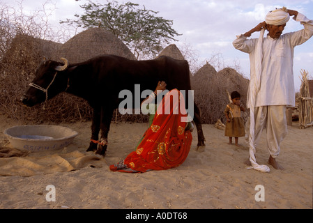 Bishnoi Indigenous lifestyle Rajasthan Desert India Stock Photo - Alamy