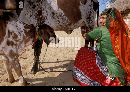 Bishnoi lifestyle Native Indigenous Tribes or the Rajasthan Desert ...