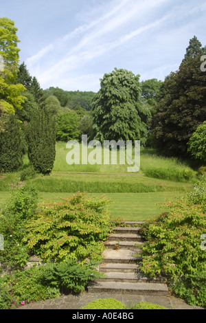 Large lawned garden surrounded by mature trees Stock Photo - Alamy