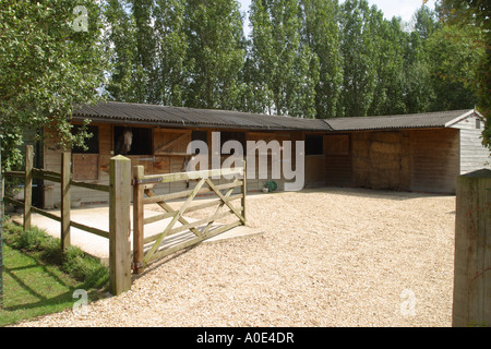 UK real estate. A wooden stable block and stable yard with pony and dog ...