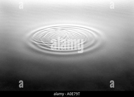 A ripple of water in Black Pond, Esher Common, Surrey, UK Stock Photo ...
