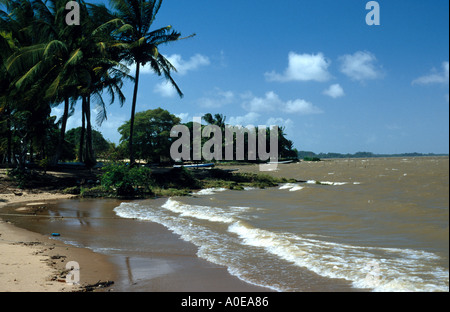 Galibi nature reserve in Suriname Stock Photo - Alamy