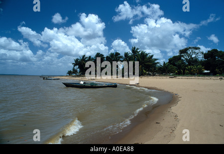 Galibi nature reserve in Suriname Stock Photo - Alamy