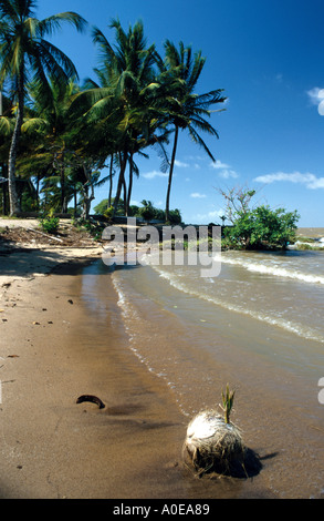 Beach, Galibi, Suriname Stock Photo - Alamy