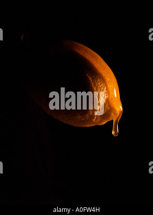 lemon with honey on a black ground Stock Photo - Alamy