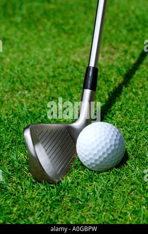 A Golfer addressing the ball Stock Photo - Alamy