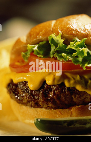 Close-up of a cheeseburger Stock Photo - Alamy