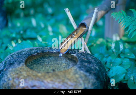 Minoru Gardens Vancouver BC Canada Stock Photo - Alamy