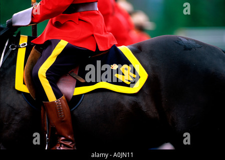Close-up of mounties, Royal Canadian Mounted Police (RCMP) officer ...