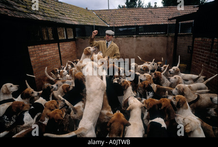 Quantock stag hunt Exmoor somerset UK Devon Somerset Staghounds Hunt ...