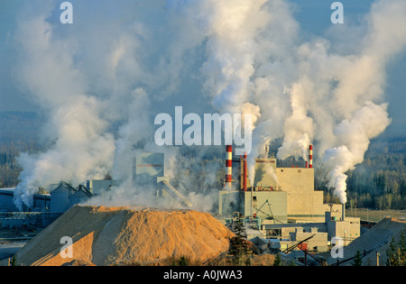 Wood chip piles at a paper mill in Japan Stock Photo - Alamy