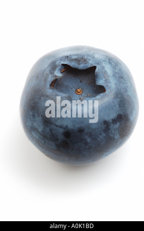 A Single Blueberry Stock Photo - Alamy