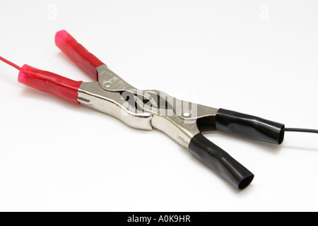 two large crocodile clips Stock Photo - Alamy
