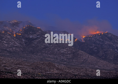 The June 2003 Aspen Fire in the Santa Catalina Mountains north of ...
