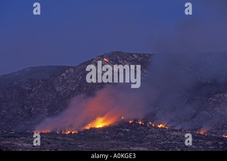 The June 2003 Aspen Fire in the Santa Catalina Mountains north of ...