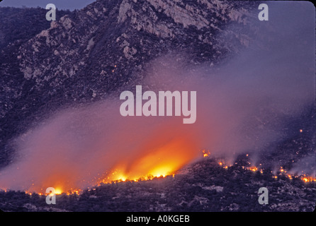 The June 2003 Aspen Fire in the Santa Catalina Mountains north of ...