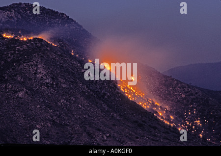 The June 2003 Aspen Fire in the Santa Catalina Mountains north of ...