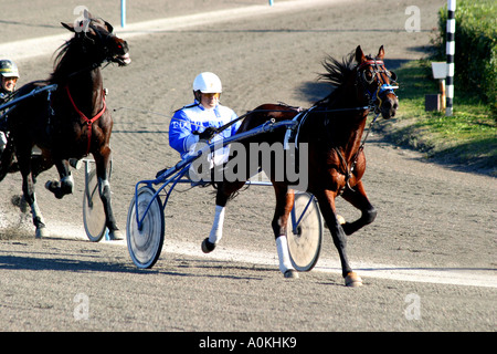Trotting Races or Trotto are a very popular sport in Italy both by ...