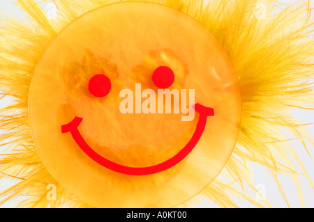Happy Mr Smiley face pen top with fuzzy feather hair dsca 0243 Stock ...