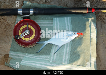 swallow tail dart and Alvey sidecast reel surf fishing Queensland ...