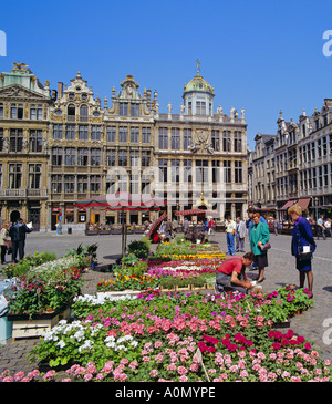 Grand Place Flower Market Brussels Belgium Stock Photo - Alamy