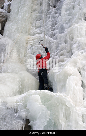 Woman ice climbing Colorado Stock Photo - Alamy