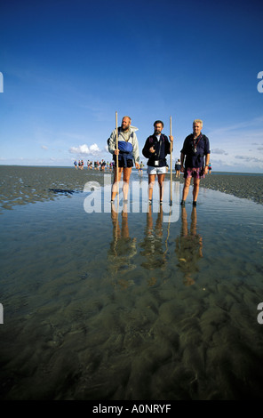 walking on the seabottom at low tide Stock Photo - Alamy
