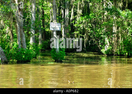 Swampland bayou Louisiana wetlands USA Stock Photo - Alamy