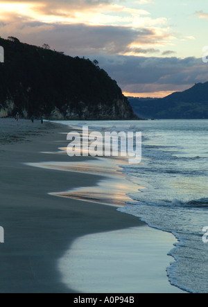 Beach walking at sunset Coromandel New Zealand Stock Photo - Alamy