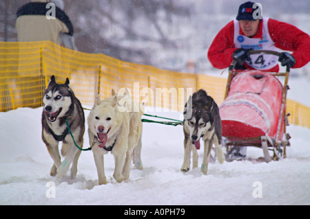 Dogsledge husky racing, Donovaly in Slovakia, 2001 Stock Photo - Alamy