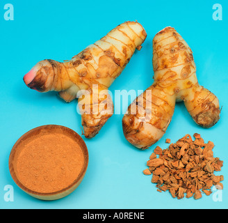 Greater Galangale roots (Alpinia galanga), galangal root, indoor ...