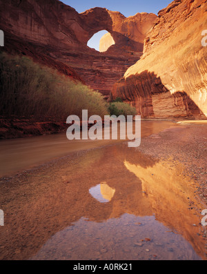 Stevens Arch - Escalante River - Utah Stock Photo - Alamy
